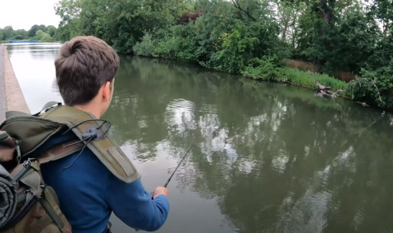 What Is A Ghost Carp - Origins, Habitat, And How To Catch Them