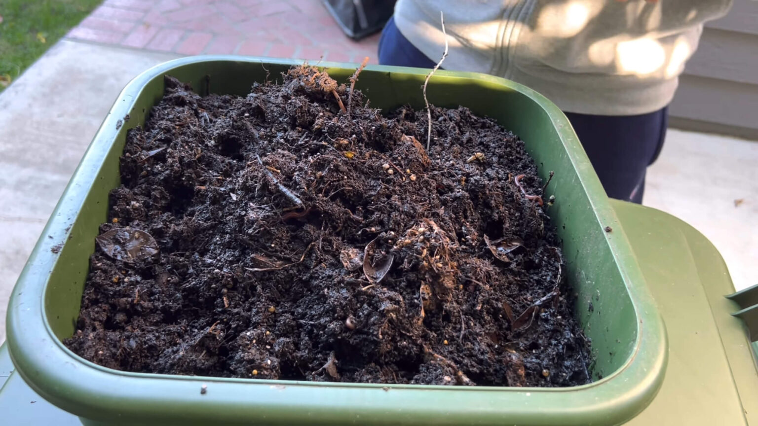 How to Raise Your Own Nightcrawlers - DIY Live Bait - Outdoor Fitness Mag